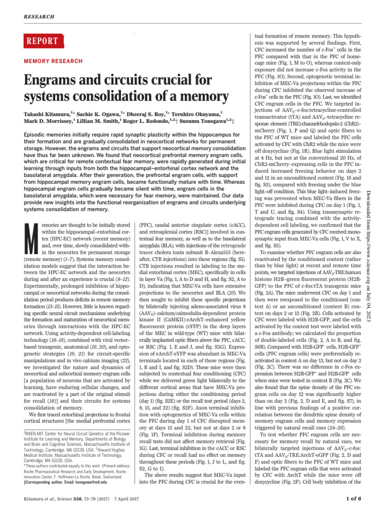 Engrams and Circuits Crucial Forsystems Consolidation of A Memory | PDF | Memory | Prefrontal Cortex