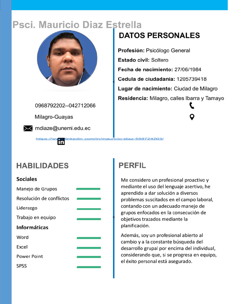 3 - CV - Mauro Díaz Estrella | PDF