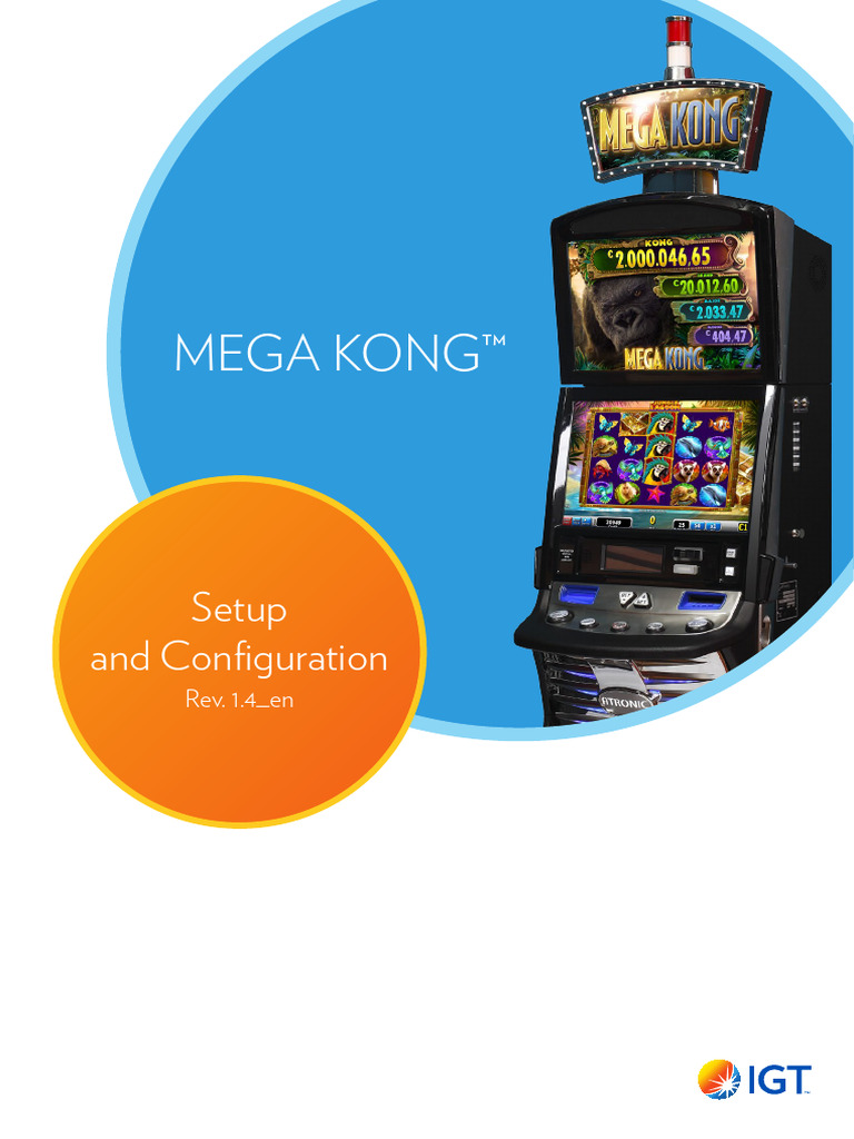 MEGA KONG - Setup and Configuration v1.4 - en | PDF | Network Switch | Computer Network
