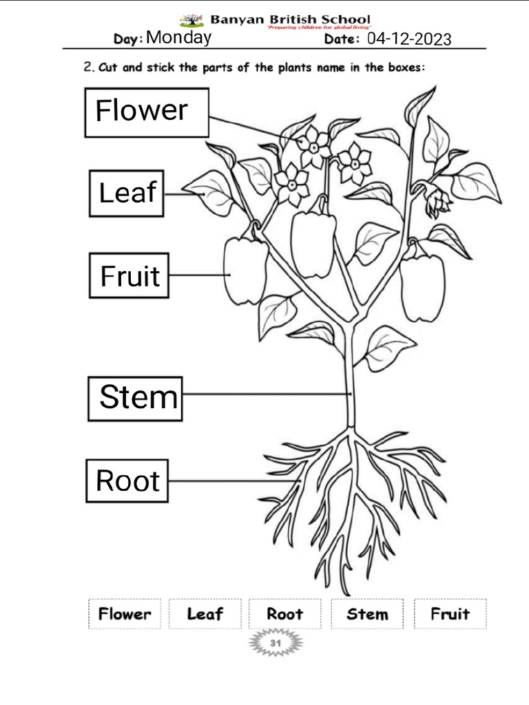Reception 2nd Term Literacy Pg-31,32 | PDF