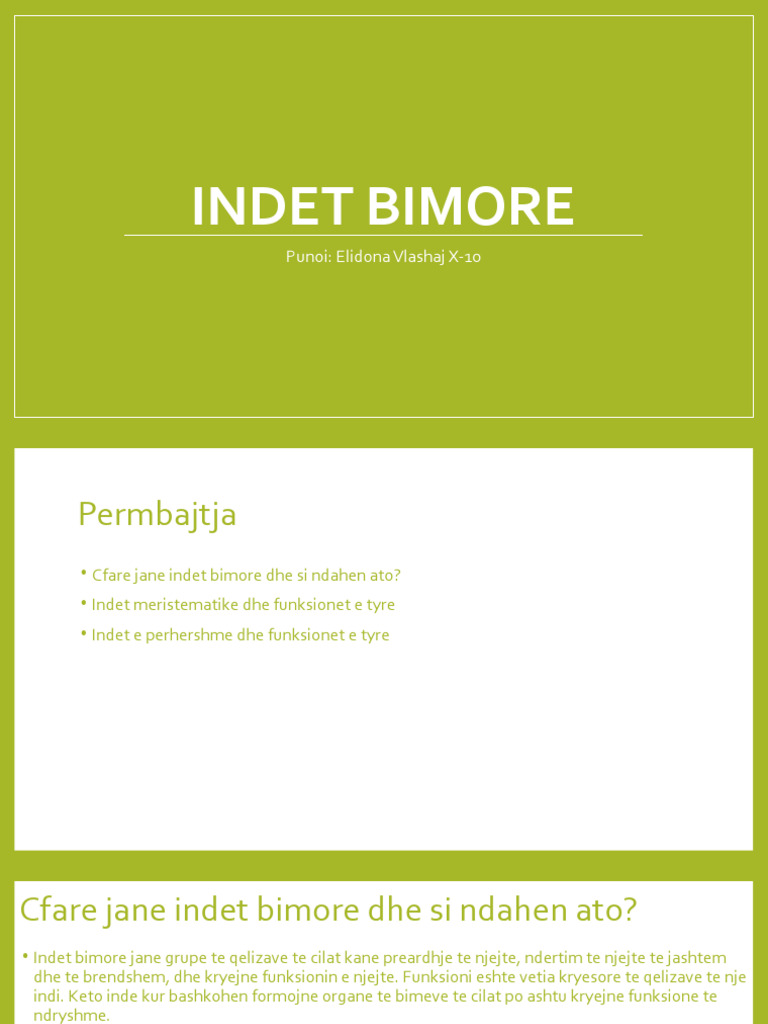 Indet Bimore | PDF