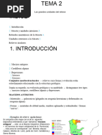 Área Silícea | PDF | Ciencias de la Tierra | Geomorfología