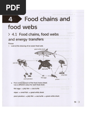 Ocean Food Chain Worksheet Coral Reefs: The Ocean's Treasure!