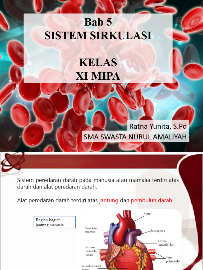Bab 5 Sistem Sirkulasi | PDF