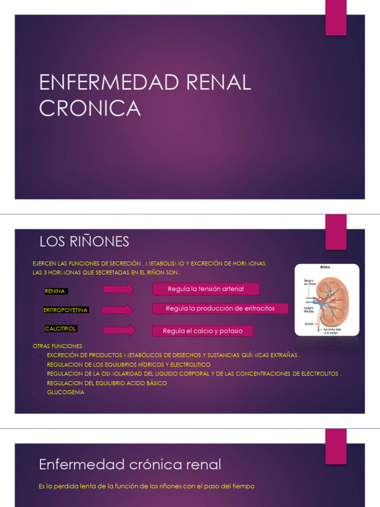 Enfermedad Renal Cronica | PDF | Enfermedad renal crónica | Riñón