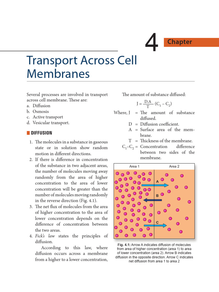 Endocytosis and Fluid Transport Mechanisms | PDF | Osmosis | Diffusion