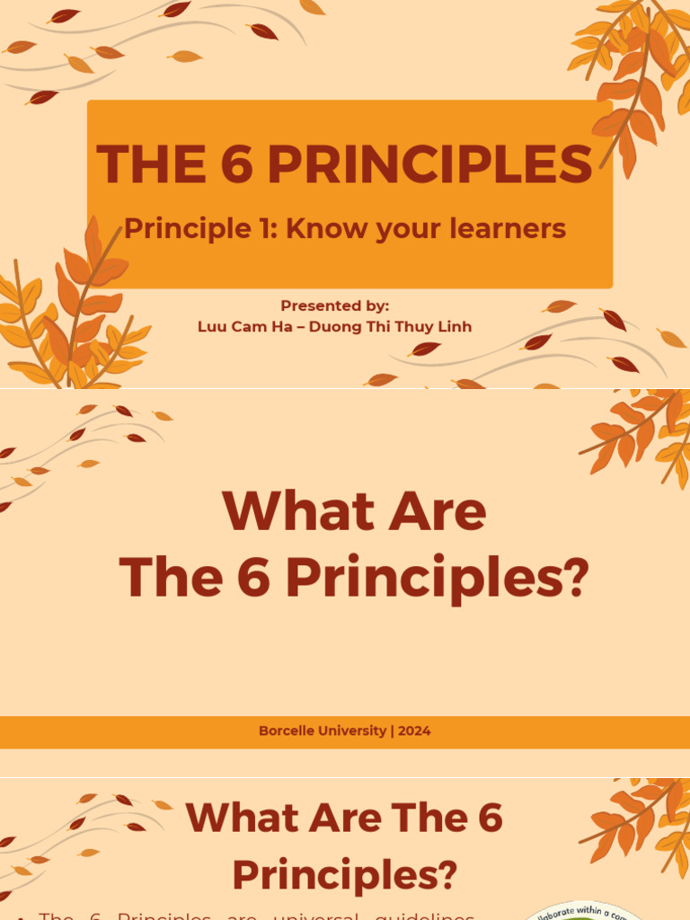 GRAMMAR - The 6 Principles - Principle 1 | PDF | Learning | Teachers