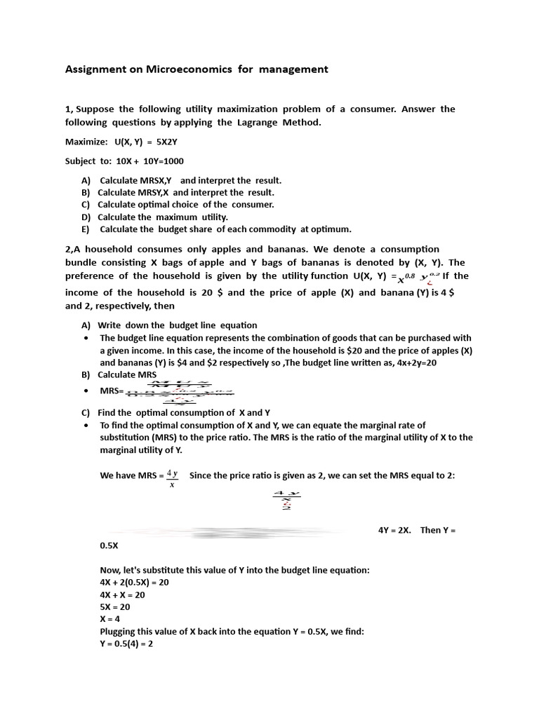 Microeconomics Assignments | PDF | Utility | Applied Mathematics