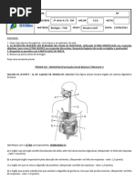 Quimo e Quilo | PDF | Digestão | Estômago