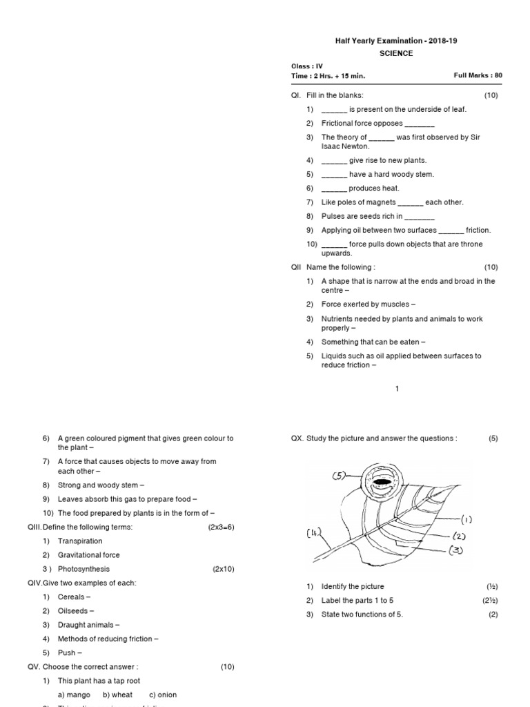Icse Class 4 Hy Science 2019 | PDF | Leaf | Force