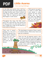 5 Little Acorns | PDF