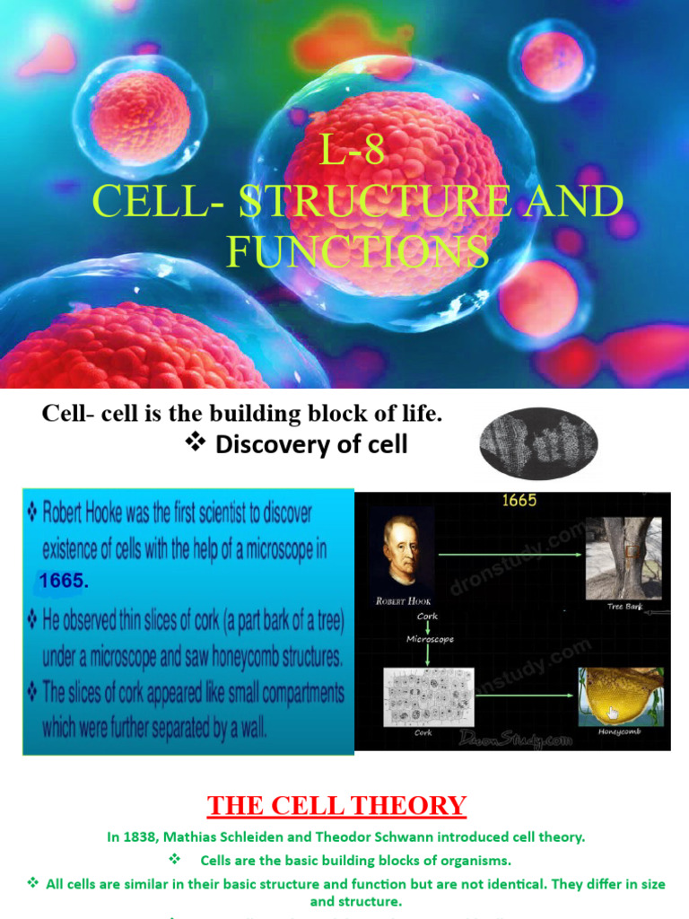 CELL | PDF | Cell Nucleus | Cell (Biology)
