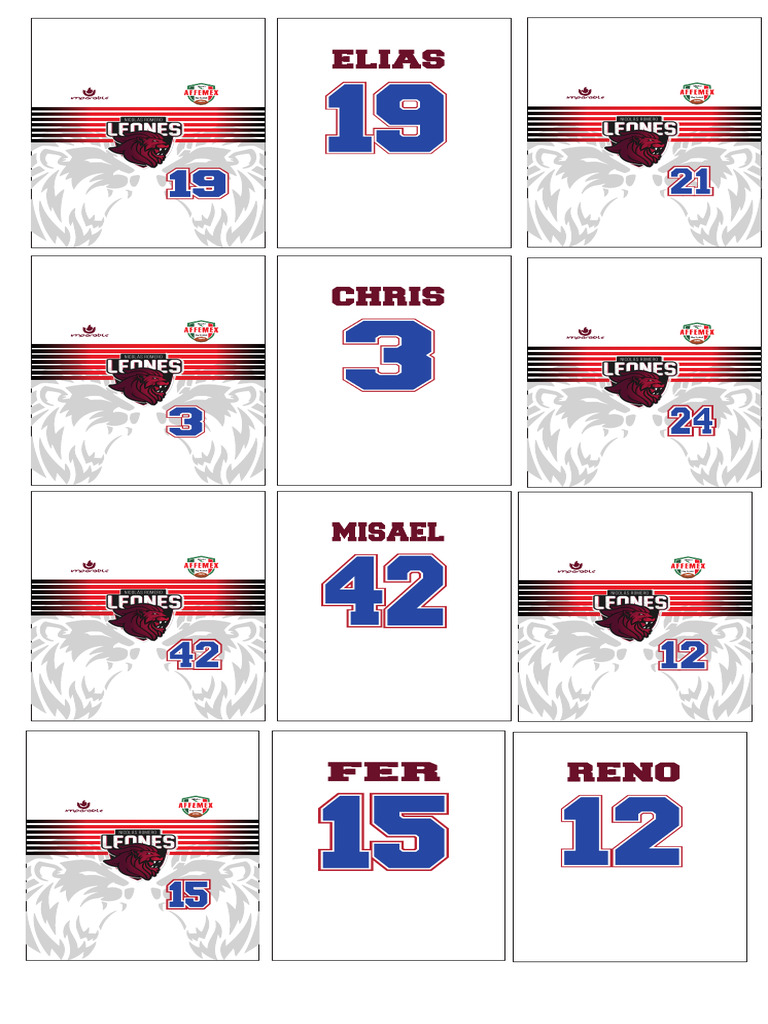 Leones Nicolas Romero Camisetas 1 | PDF