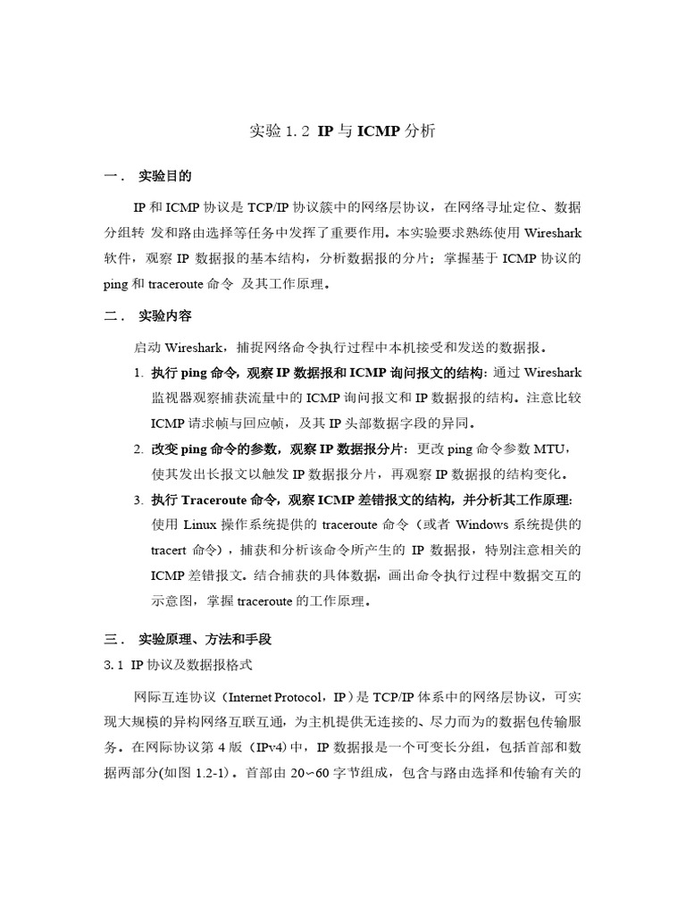 实验1 2IP与ICMP分析 | PDF