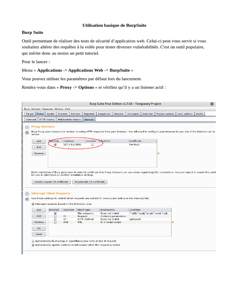 #58 - Utilisation Basique de BurpSuite | PDF