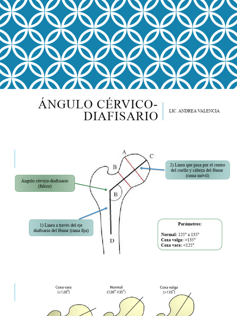 Medición del Ángulo Cérvico-Diafisario | PDF
