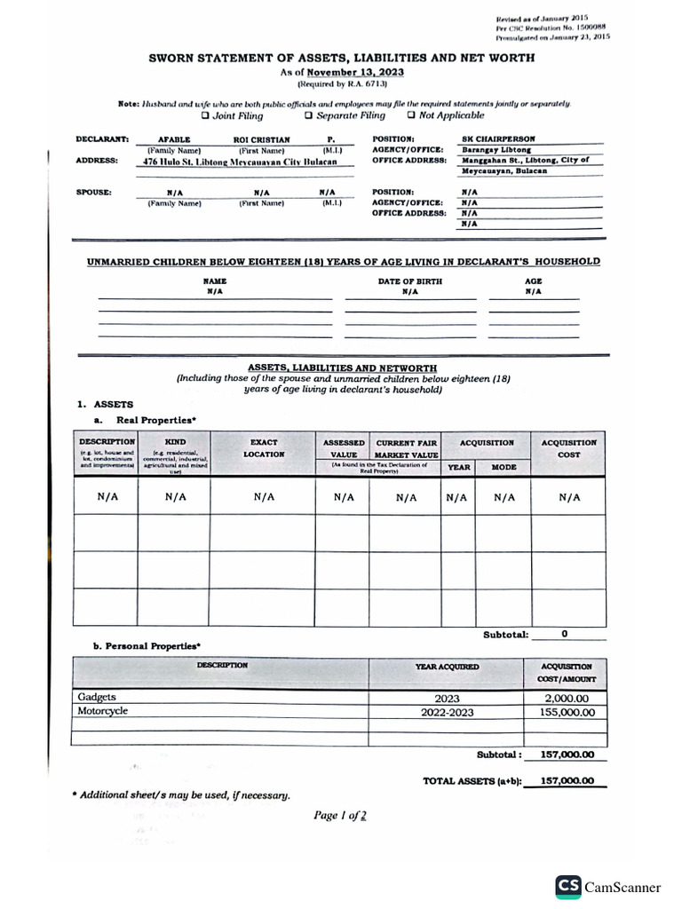 SALN - SK Chairperson | PDF