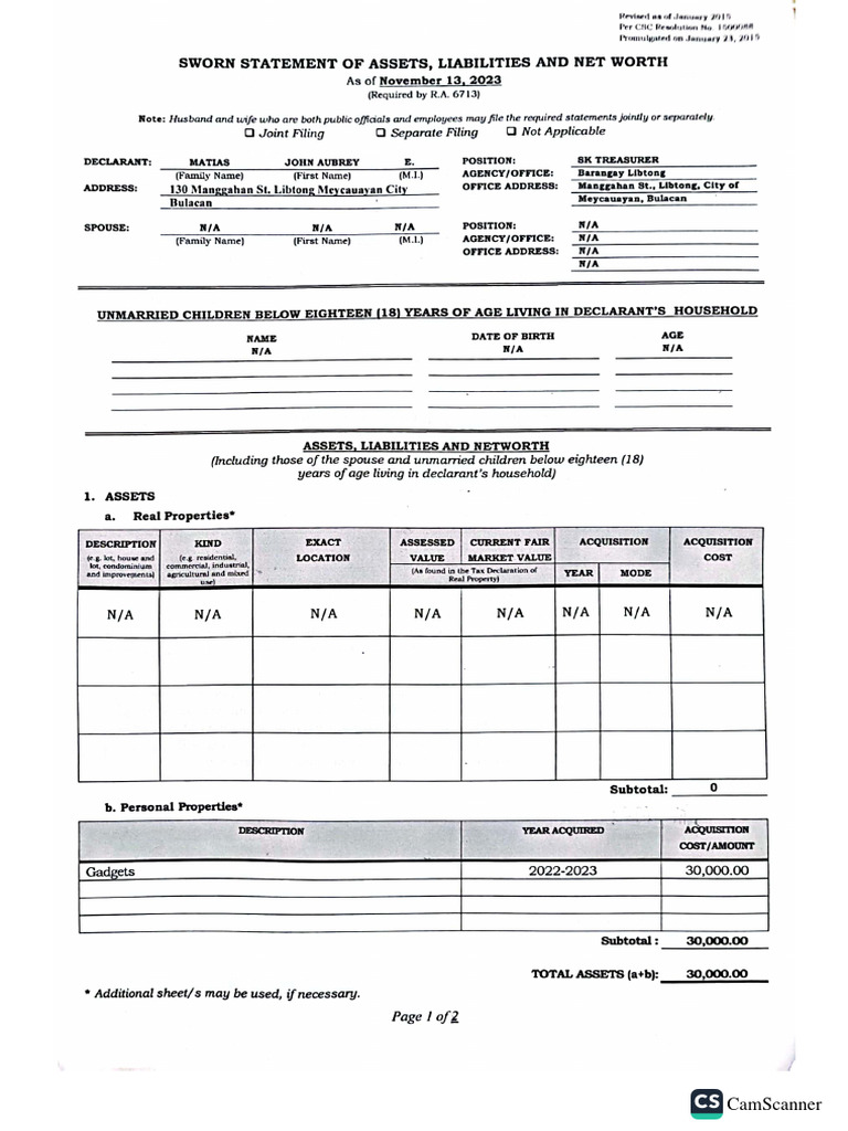 SALN - SK Treasurer | PDF
