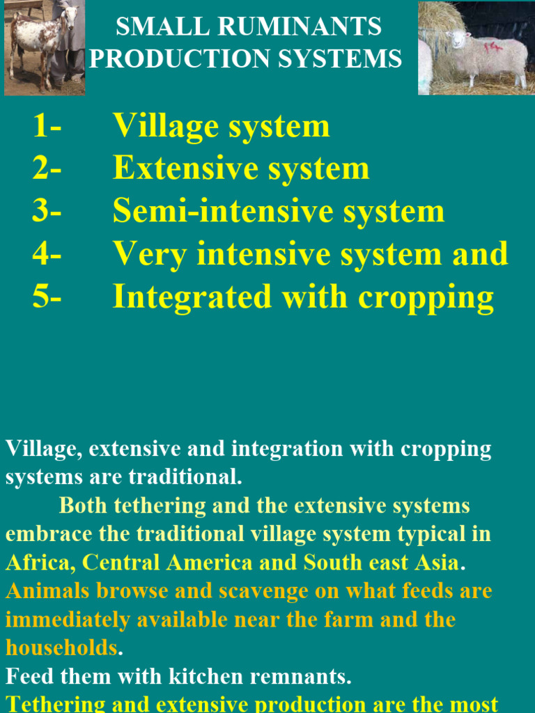4-Small Ruminants Production Systems | Download Free PDF | Intensive ...