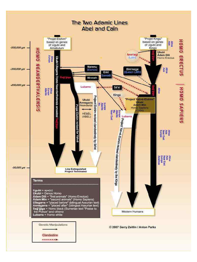The Two Adamic Lines - Abel and Cain | PDF