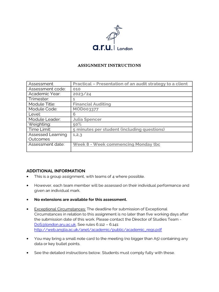 Financial Auditing Practical Assignment | PDF | Audit | Theory