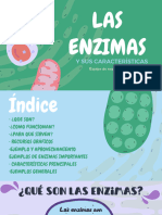 Bitácora Del Grinch | PDF | Salud y bienestar