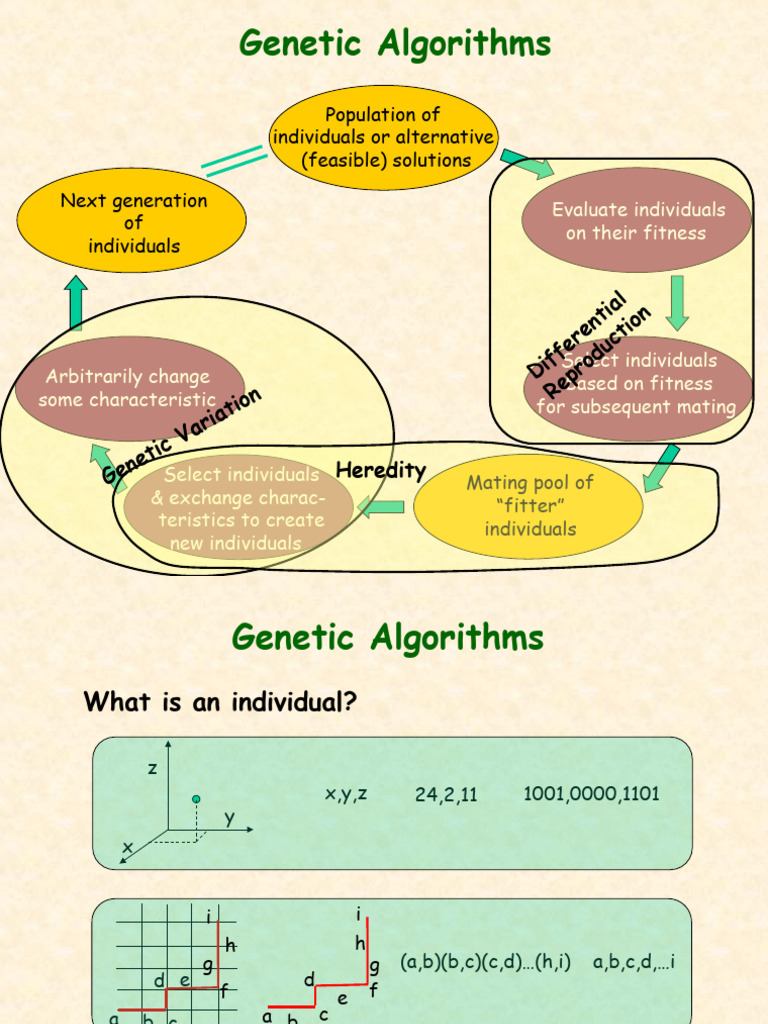MoreGA - Tagged | Download Free PDF | Genetic Algorithm | Mathematical Optimization