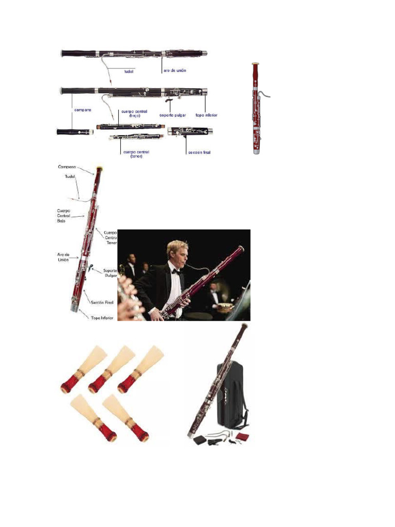 Imagenes Fagot | PDF