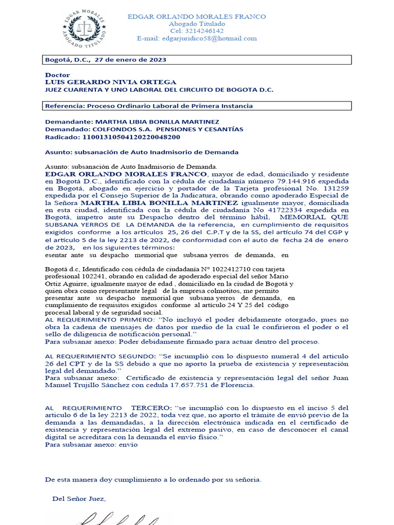 Modelo Subsanacion Demanda | PDF | Justicia | Crimen y violencia