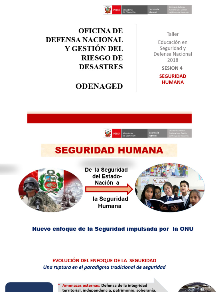 Sesion 4 Seguridad Humana | PDF | Valores | Seguridad humana