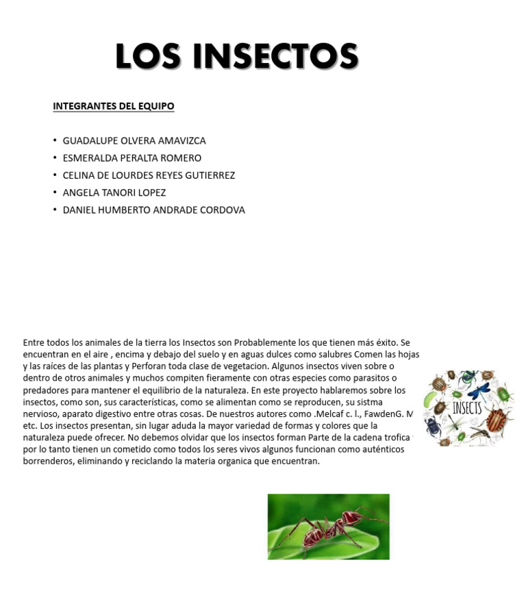 Que Son Los Insectos | PDF
