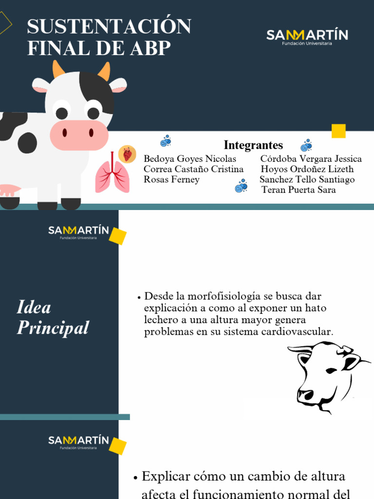 Abp Final | PDF | Sistema circulatorio | Corazón