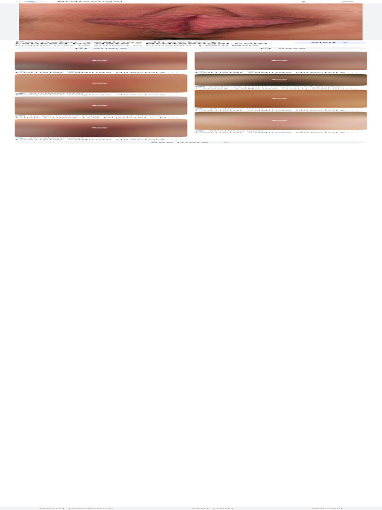 Pussy Image - Google Search | PDF