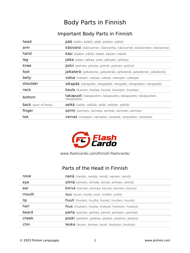 Body Parts in Finnish | PDF