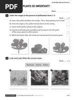 Function and Role of Plumule in Seeds | PDF | Seedling | Biology