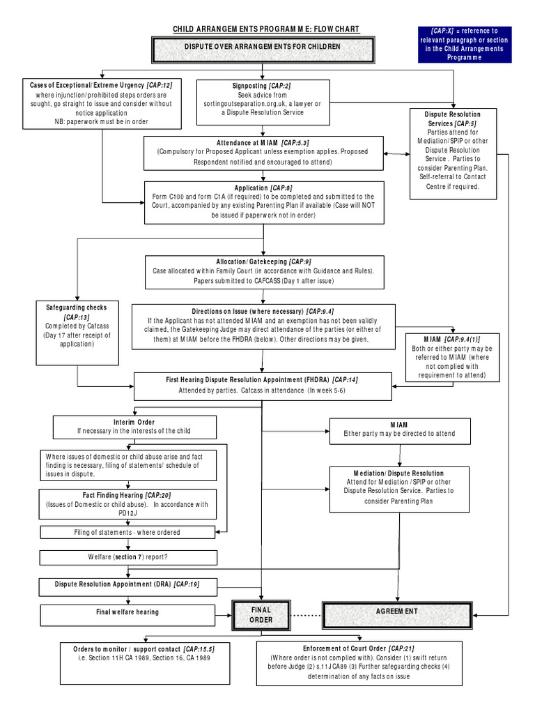 CAP Flowchart | PDF | Mediation | Government