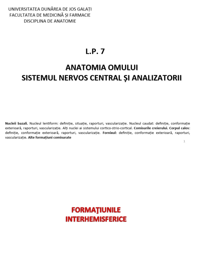 ANATOMIE SNC LP 7 Nucleii Bazali Fornix Corp Calos | PDF