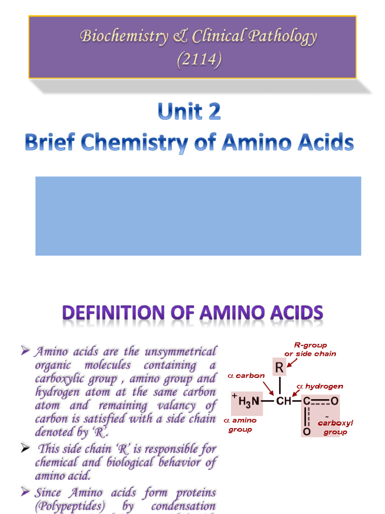 Essential Amino Acids Overview | PDF | Amino Acid | Molecular Biology