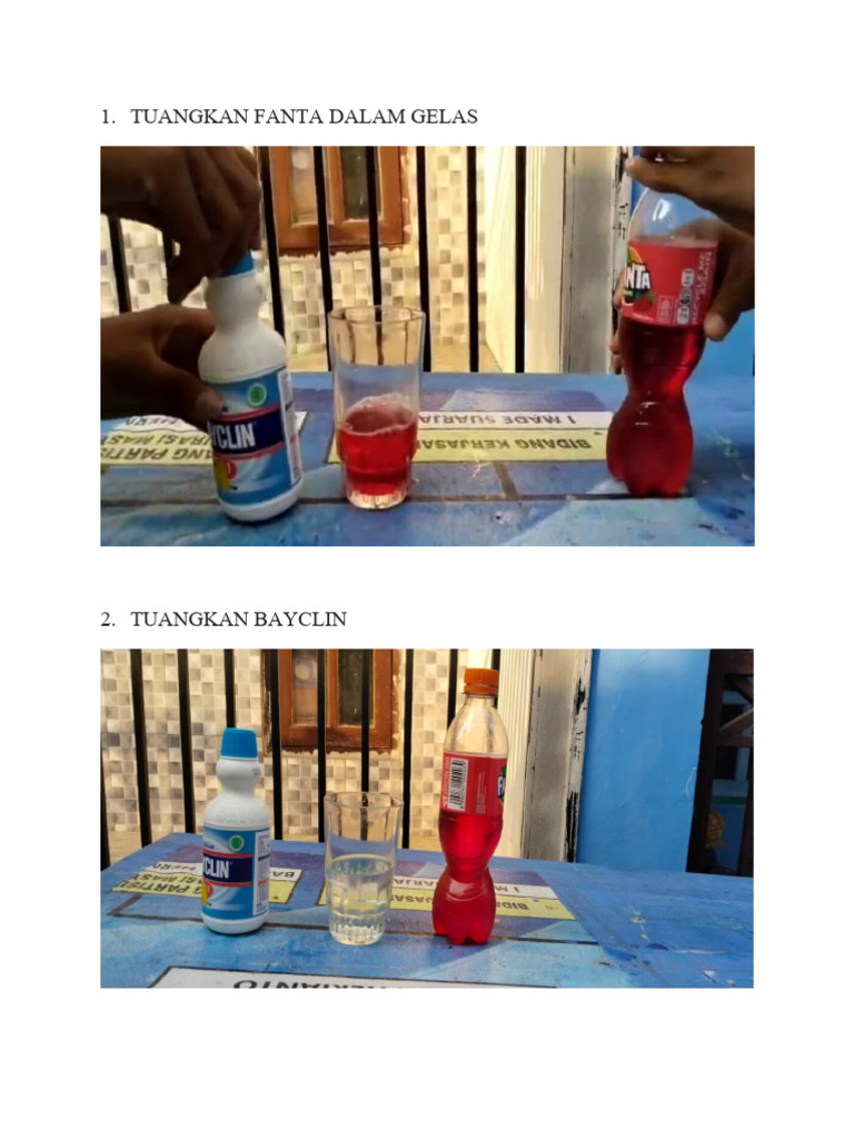 Hasil PercobaanBayclin Yang Dicampurkan Fanta | PDF