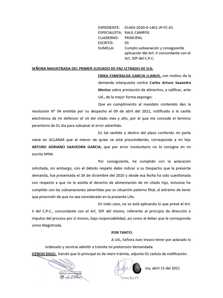 Cumplo Subsanacion #5 | PDF | Justicia | Crimen y violencia