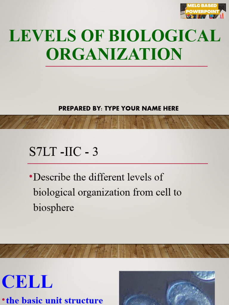 G7 Science Q2 - Week 3-Levels of Biological Organization | PDF | Human ...