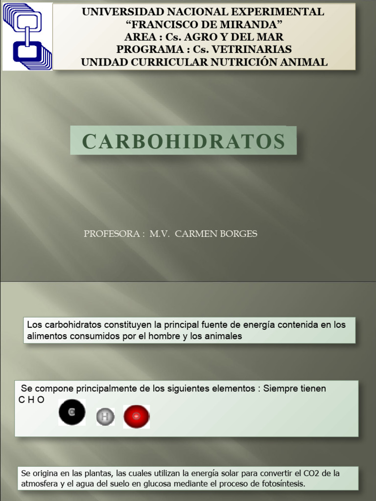 Los Carbohidratos | PDF | Digestión | Carbohidratos