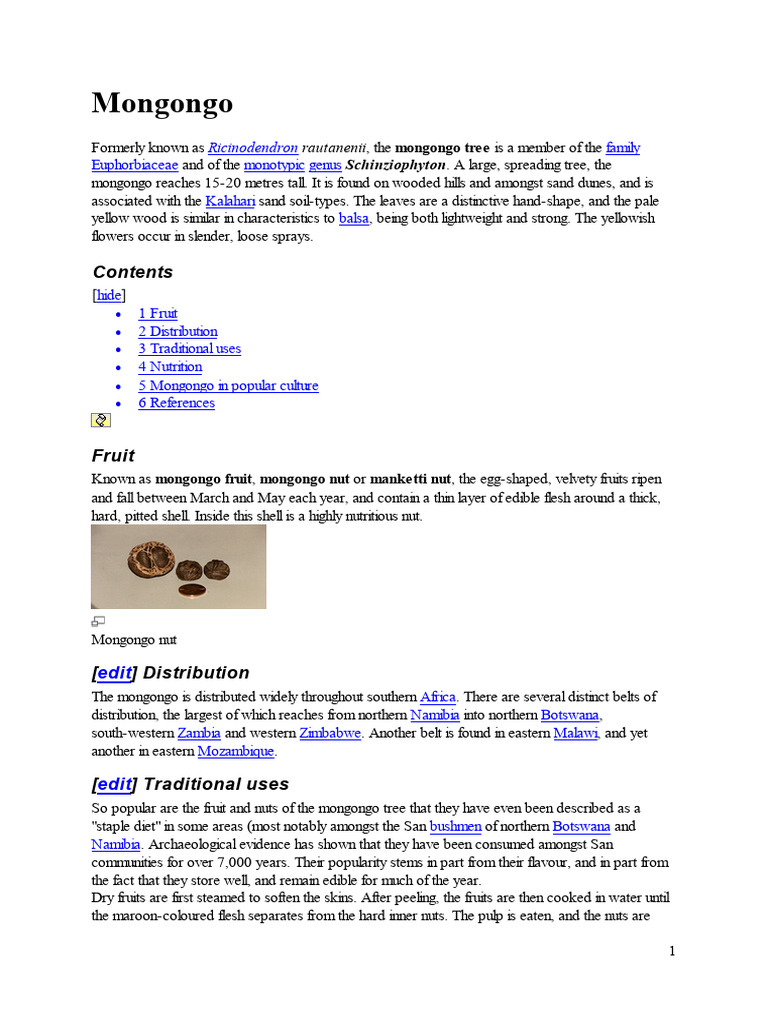 Mongongo | PDF | Food And Drink | Edible Nuts And Seeds
