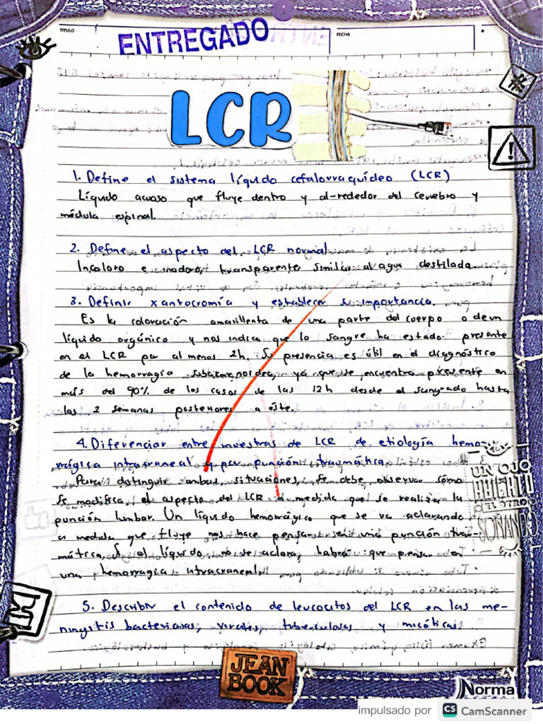Guía LCR | PDF