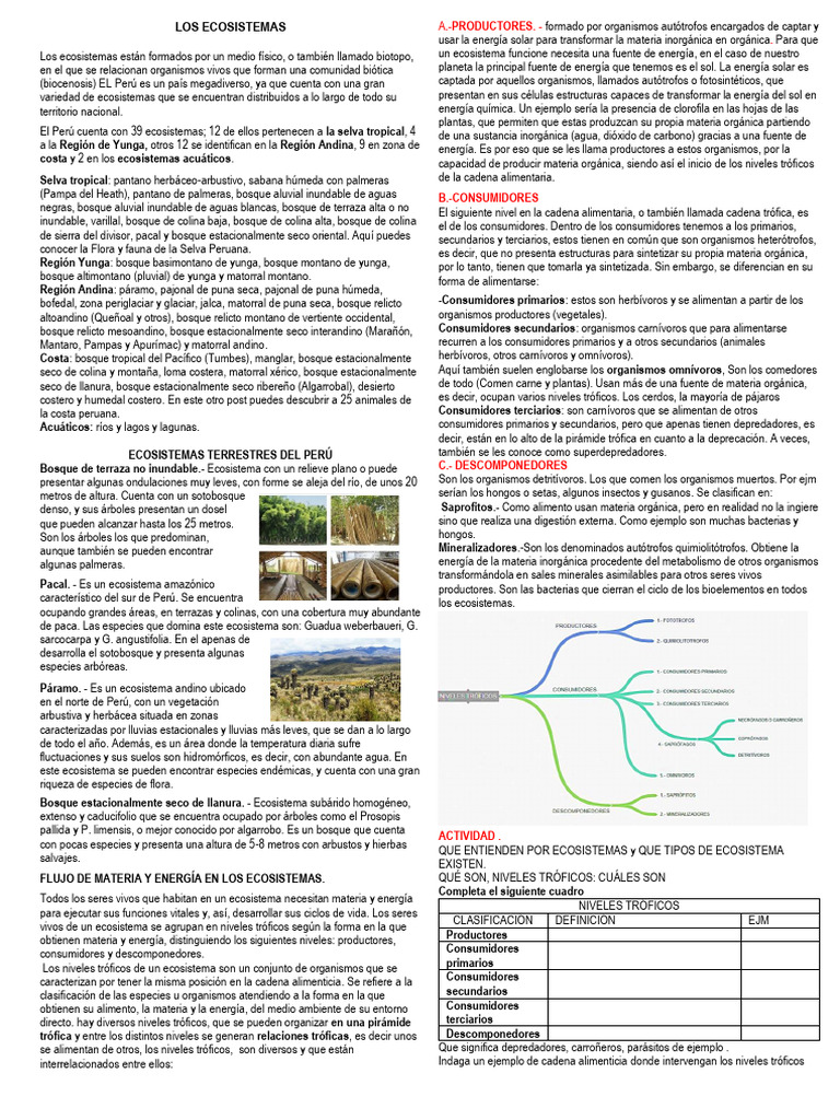 Los Ecosistemas | PDF | Ecosistema | Red alimentaria