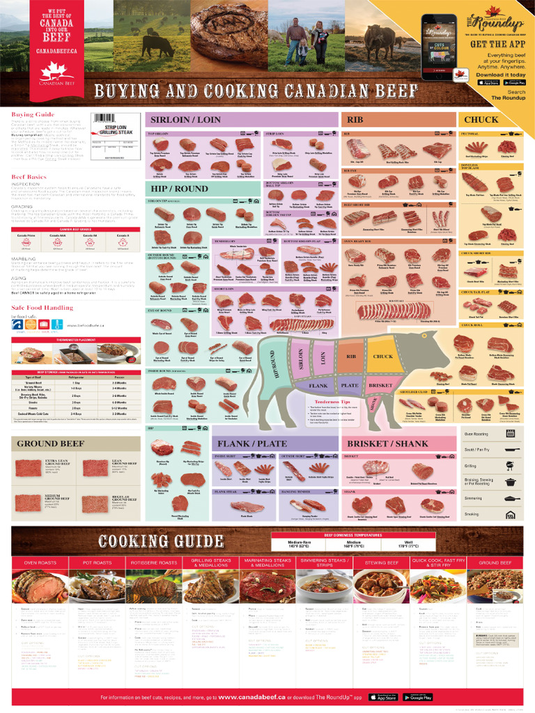 Beef Cutting Chart | PDF