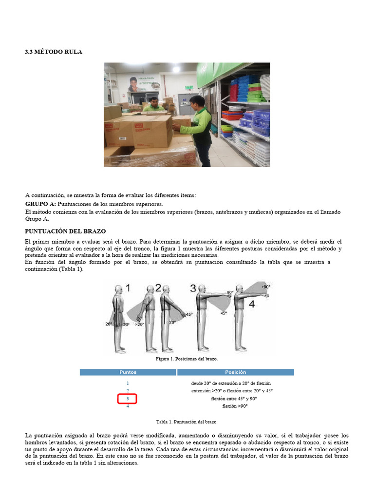 Rulita | PDF | Factores humanos y ergonomía