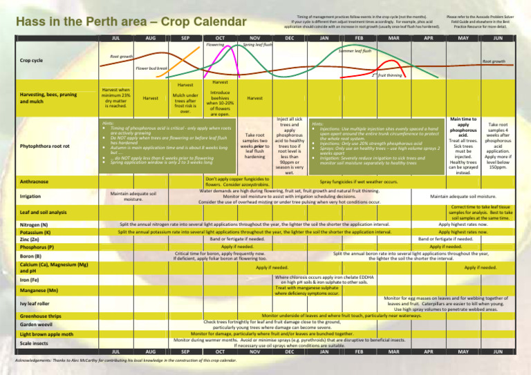 Crop Calendar Perth Hass | PDF | Soil | Trees