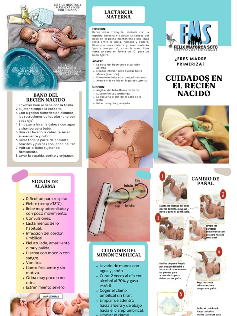 Cuidados Del Recién Nacido - Triptico | PDF | Salud y bienestar