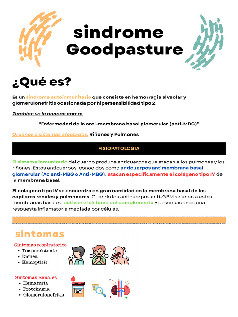Síndrome de Goodpasture: Fisiopatología y Tratamiento | PDF